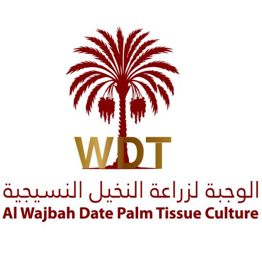 Al Wajba